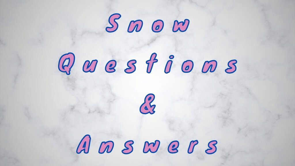 English Literature Archives - WittyChimp