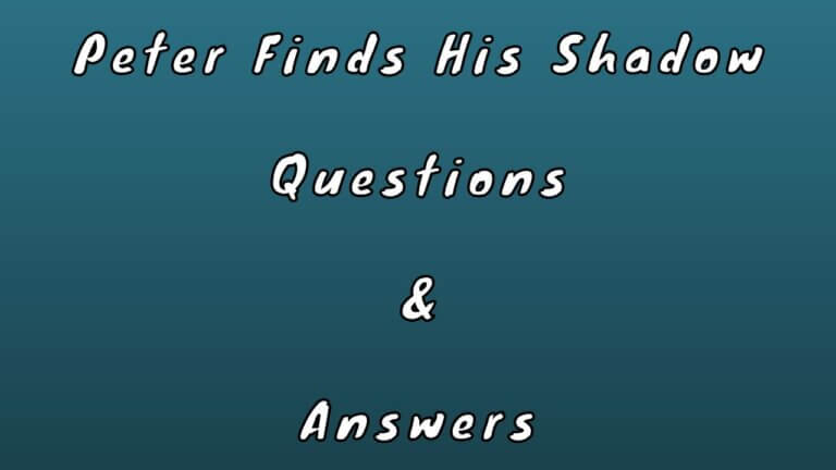 English Literature Archives - WittyChimp